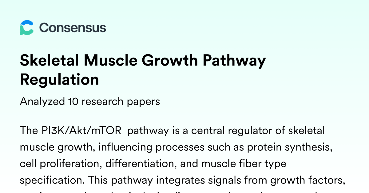 Skeletal Muscle Growth Pathway Regulation - Consensus
